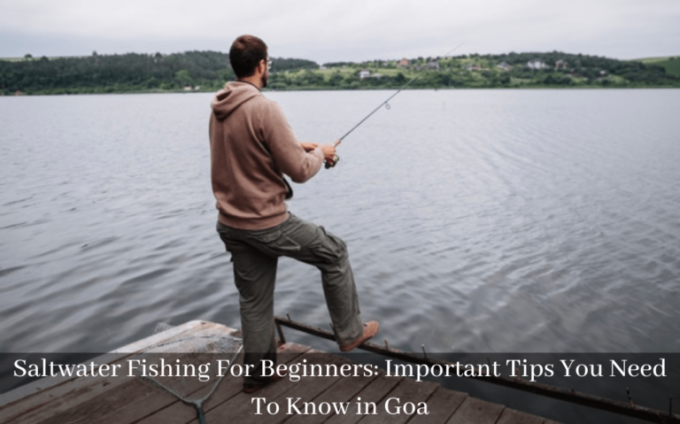 Basic Fishing Equipment for the First Time Anglers – The Goan Touch